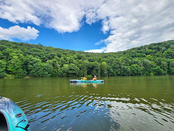 Kayaking nirvana where forest meets water. No traffic, no emails—just you, a paddle, and that impossible shade of summer green.