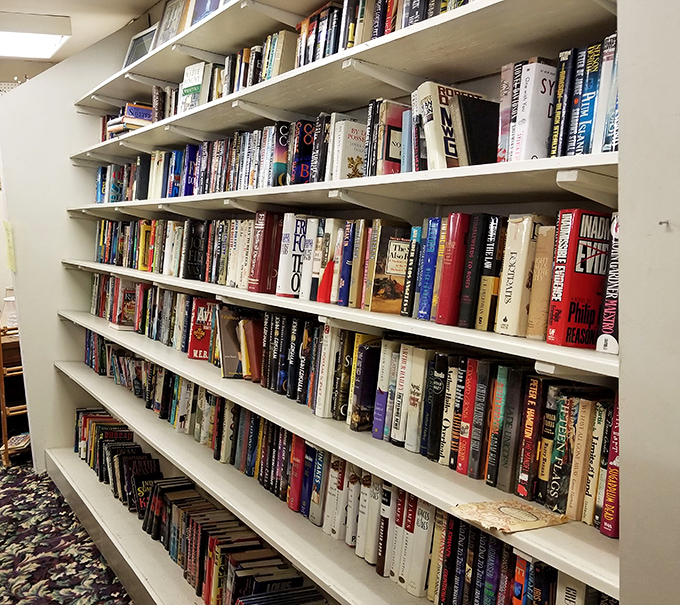 Books stacked with the precision of a literary Jenga tower – spines that have survived decades just waiting for new hands.
