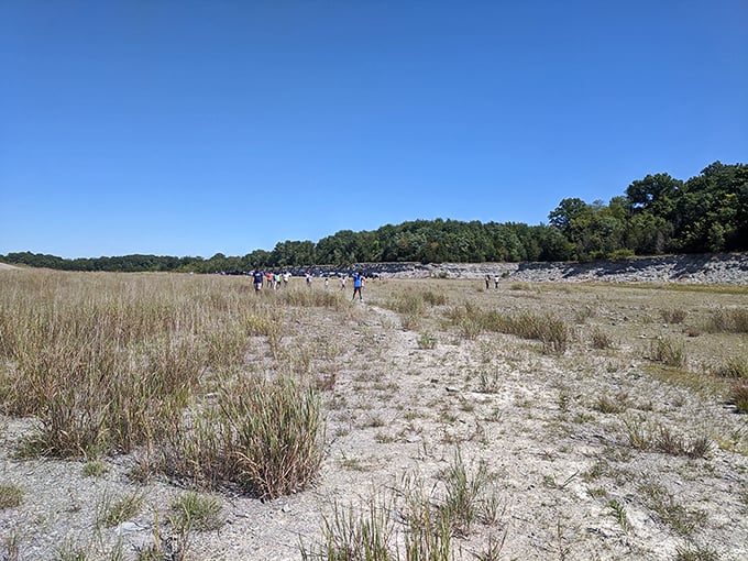 Fossil hunters and adventure seekers converge where ancient seabeds meet modern feet. This limestone landscape tells stories 440 million years in the making.
