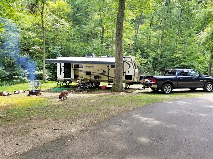 Camping near Chillicothe – where your morning coffee comes with a side of birdsong and historical significance.