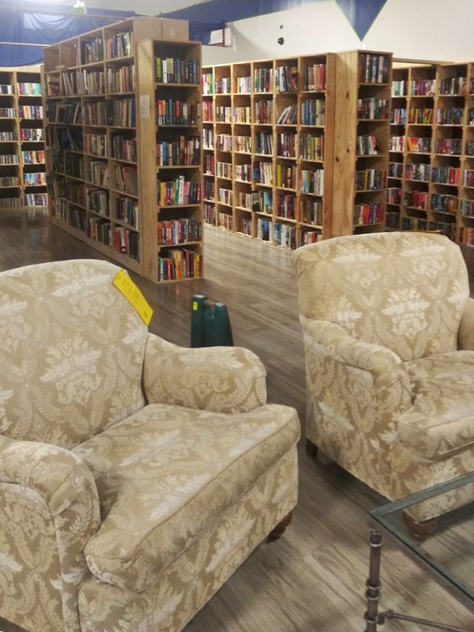 The reading nook setup nobody knew they needed – vintage chairs paired with floor-to-ceiling books create an instant library feel.