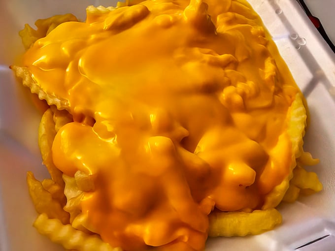 Cheese fries that prove sometimes the simplest pleasures deliver the most satisfying results for your soul.