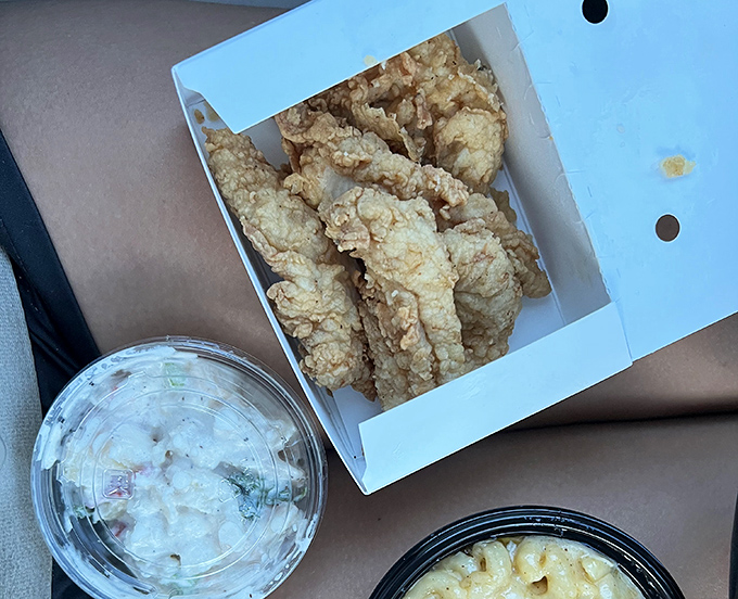 Chicken strips that put fast food versions to shame—each one a golden testament to the difference between cooking and merely heating.