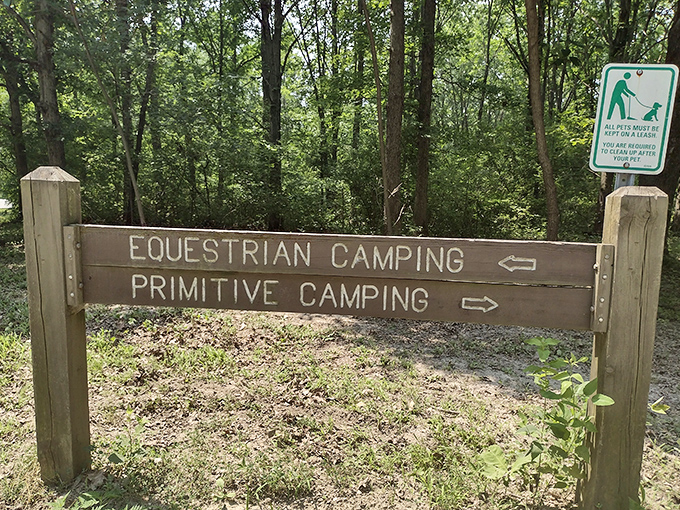 Choose your own adventure: horses to the left, primitive camping to the right. Either way, you're miles from spreadsheets and Zoom meetings.