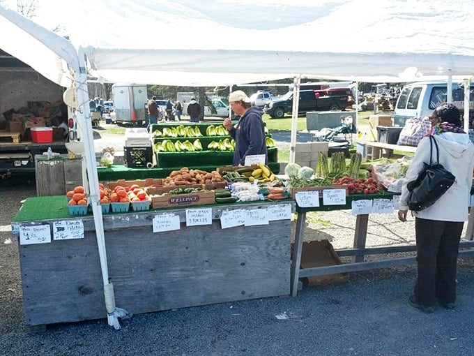 Farm-fresh goodness amid the treasures. Local produce stands offer a colorful counterpoint to antiques, proving not all flea market finds need dusting.