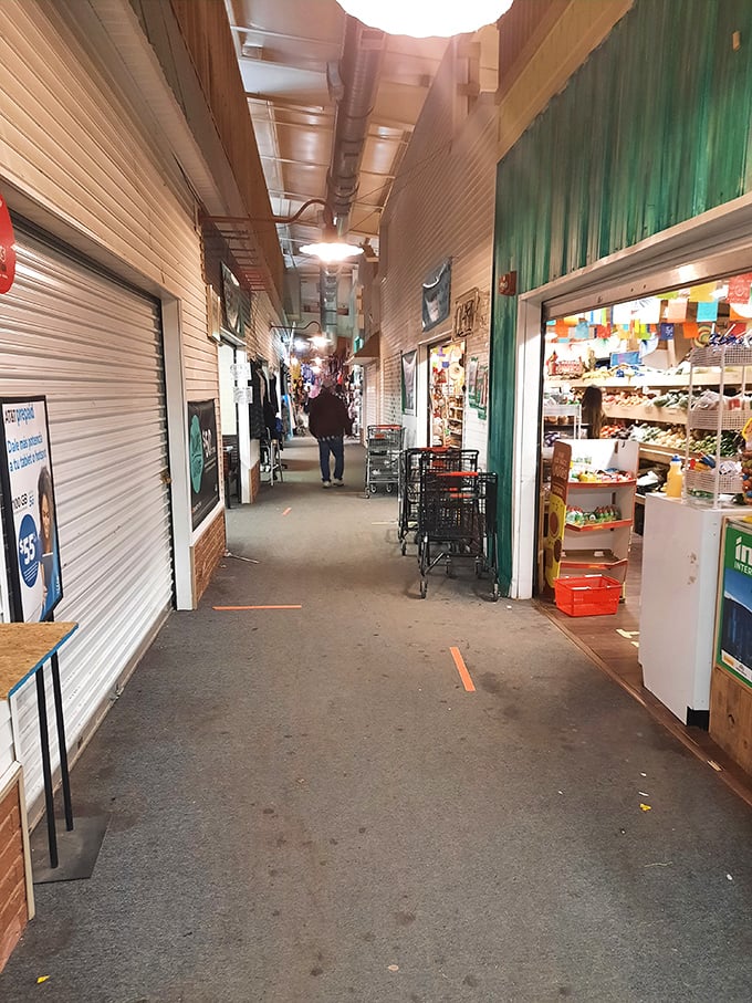 The market's arteries connect vendor to vendor. These quiet moments between stalls hold the promise of undiscovered treasures around every corner.