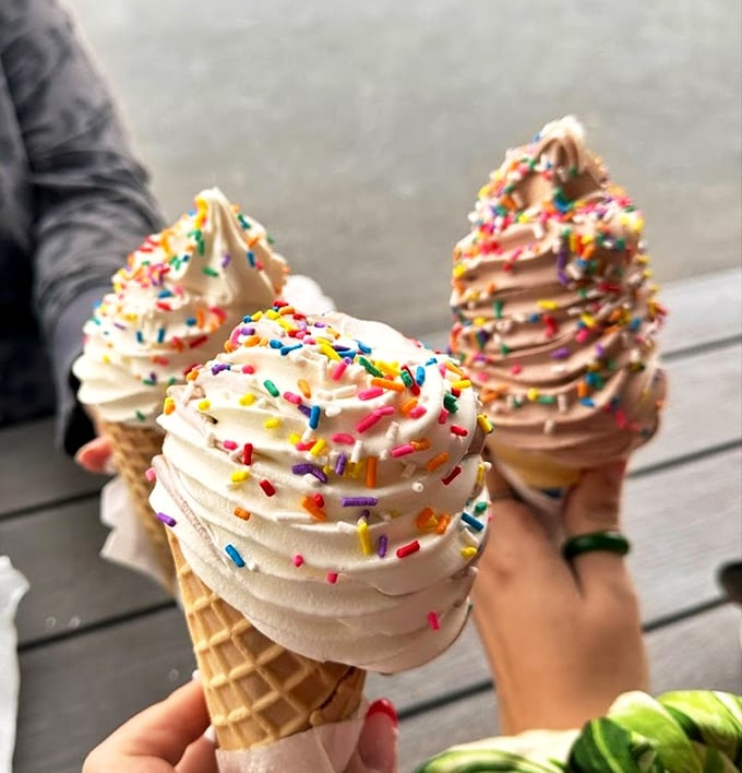 Ice cream towers adorned with rainbow sprinkles—proof that happiness can indeed be purchased for a few dollars.