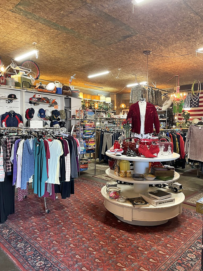 The red velvet blazer commands center stage, surrounded by everyday essentials—proof that thrifting delivers both practical finds and showstoppers.