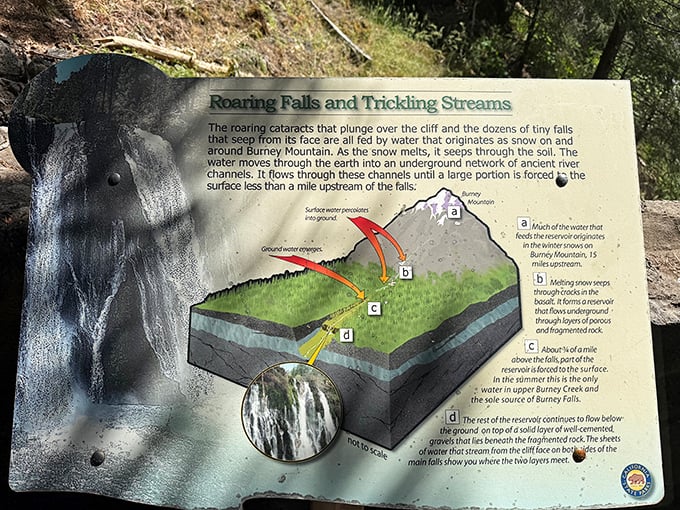 Nature's engineering explained – turns out this waterfall has a fascinating underground story that rivals any Netflix documentary.