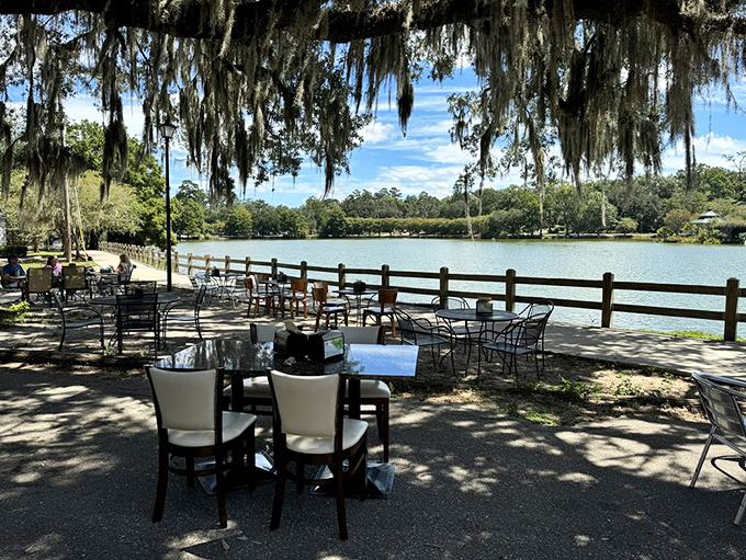 Dining al fresco with Spanish moss and lake views—nature's perfect digestif. Those metal chairs have witnessed countless food epiphanies.