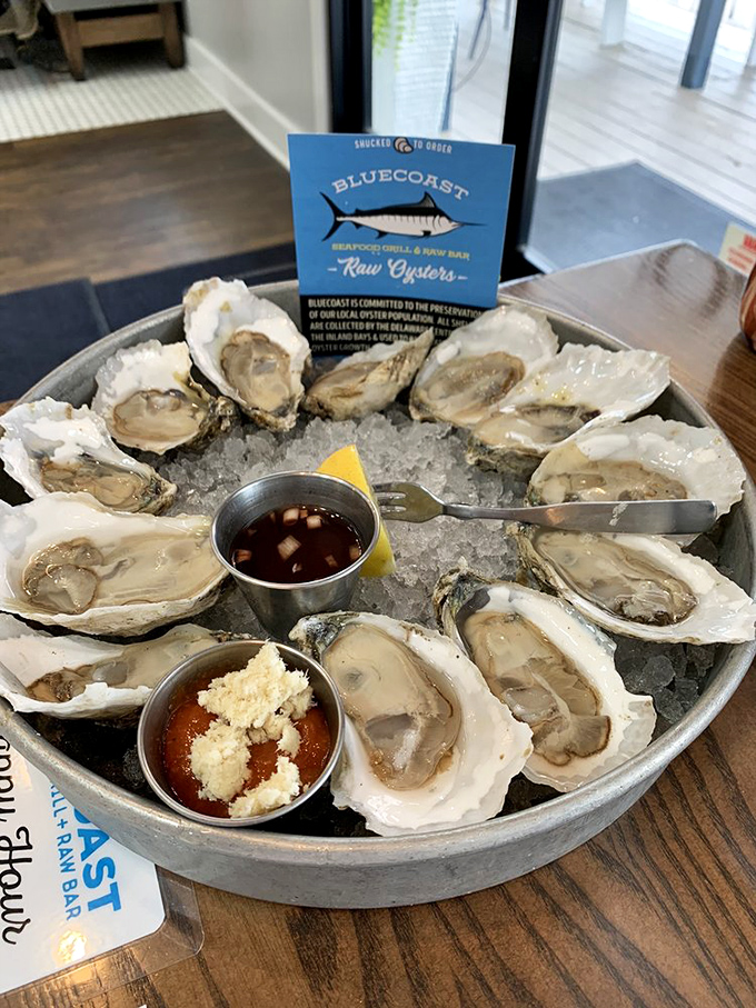 A dozen oysters on ice—nature's perfect appetizer and the ocean's way of saying "I brought you something special."