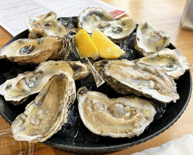 Fresh oysters on the half shell – nature's perfect appetizer. Just a squeeze of lemon and suddenly you're having a moment with the Atlantic.