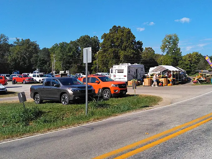 The parking lot—where optimistic shoppers leave empty trunks and return to perform real-life Tetris with newfound treasures and impulse purchases.