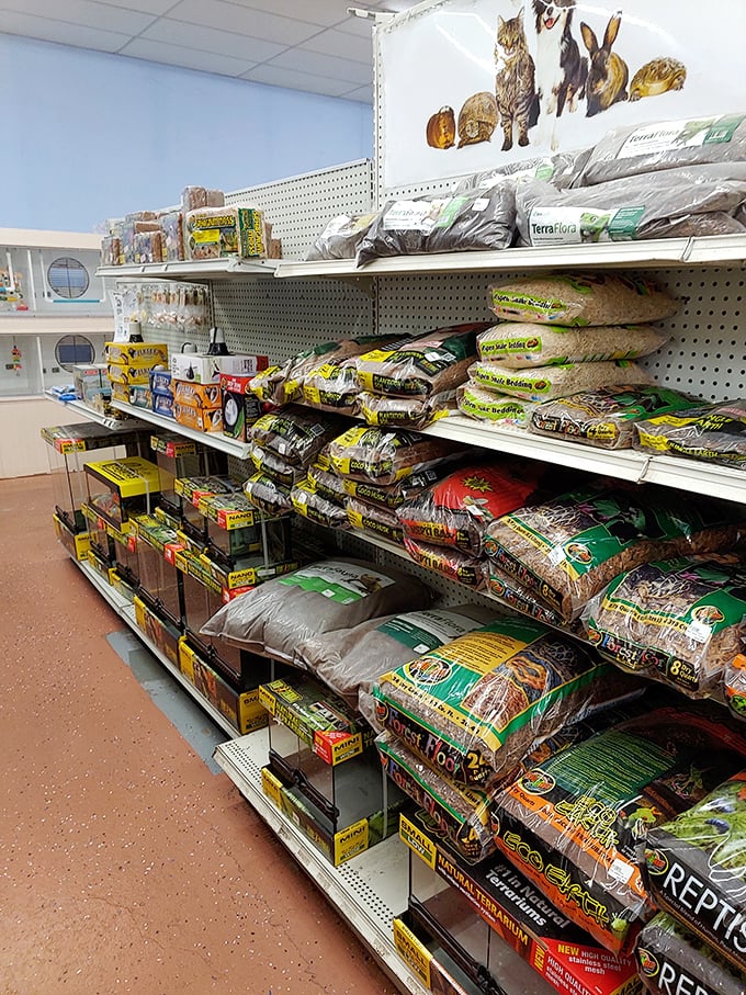 Pet supply heaven offers everything your furry family members could desire, from treats to toys galore.