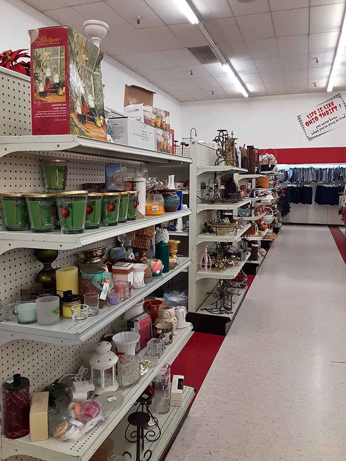 Glassware and home goods lined up like contestants in a beauty pageant of domestic practicality, each with a story to tell.