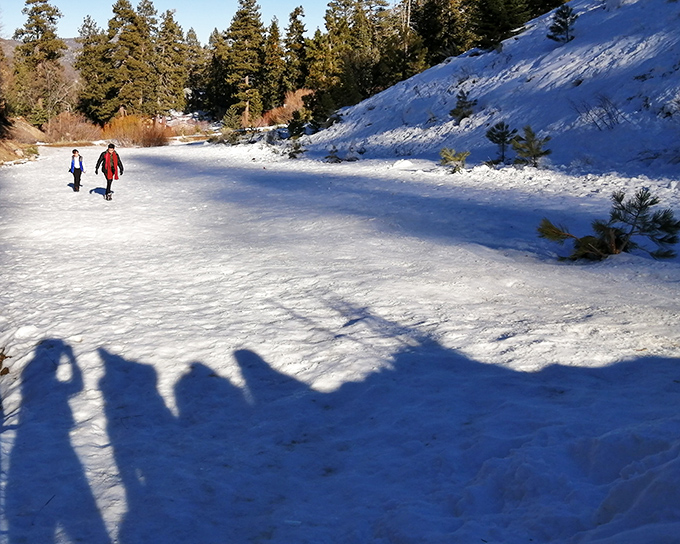 Winter wonderland isn't just a song here—it's what happens when Southern California remembers it can actually do seasons properly.