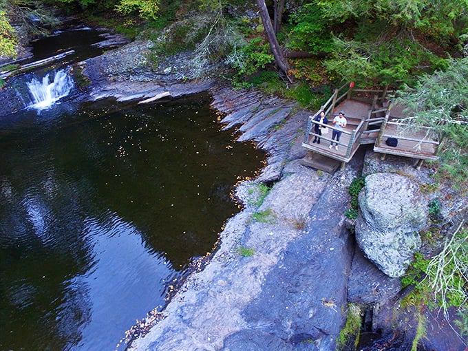 The viewing platform hovers between earth and sky, offering front-row seats to nature's greatest show without the ticket price.