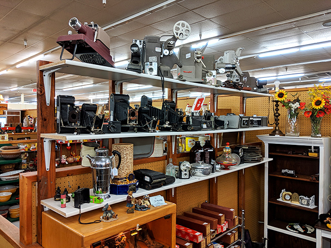 A photographer's dream—vintage cameras and projectors that captured memories long before the age of smartphones. Each one has stories locked inside its mechanical heart.
