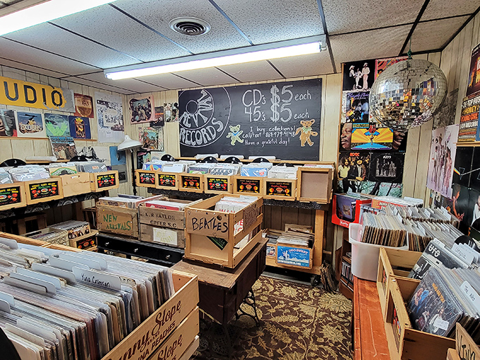 The vinyl record corner – where music lovers can physically hold their favorite albums instead of just swiping right on a playlist.