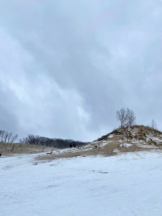 Winter transforms the dunes into a snow-sculpted wonderland that would make Dr. Zhivago feel right at home. Michigan's best-kept cold-weather secret.