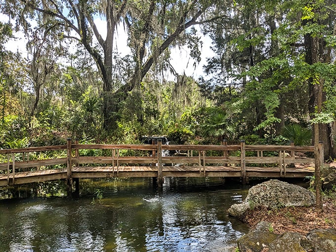 Wooden bridges guide you through paradise, making every step feel like a scene from adventure.