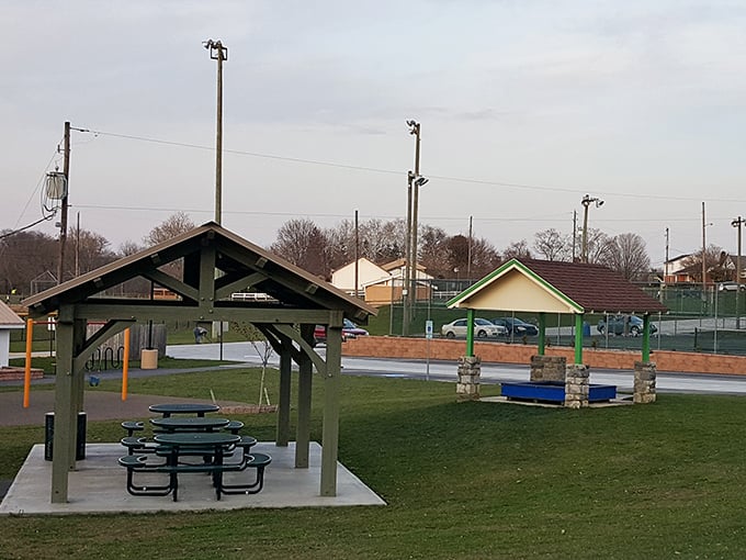 Community parks where simplicity reigns—picnic tables under pavilions invite conversation instead of screens, and green space isn't an amenity, it's essential.
