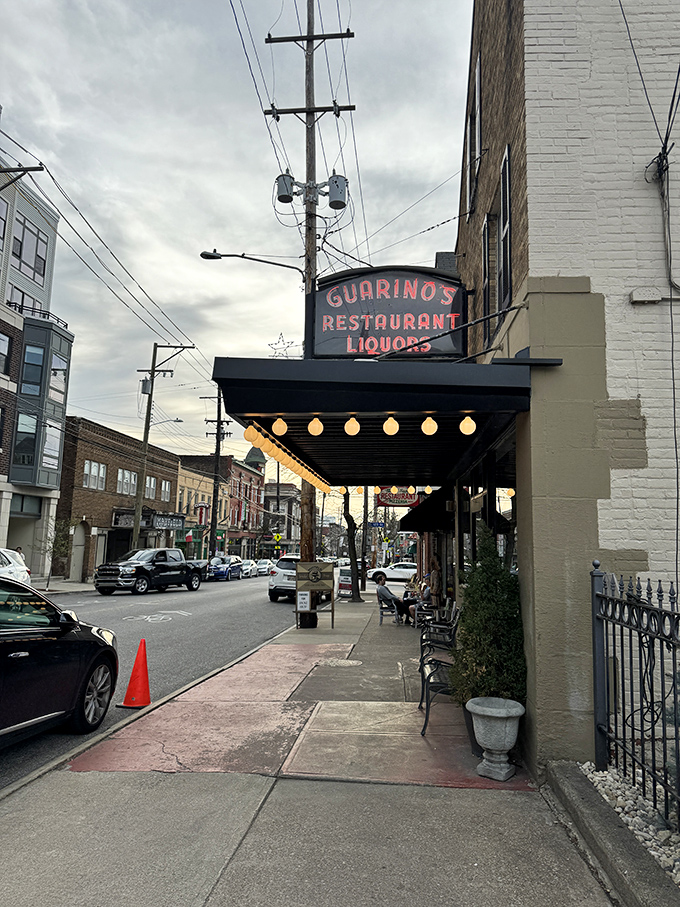 Those string lights aren't just decoration—they're a beacon for pasta pilgrims. Guarino's vintage charm is Cleveland's answer to Roman trattorias.