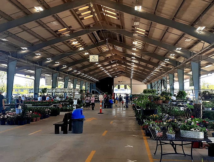 Nature's bounty meets shopper's paradise! Piedmont Triad's spacious covered pavilion showcases everything from fresh flowers to handcrafted goods.