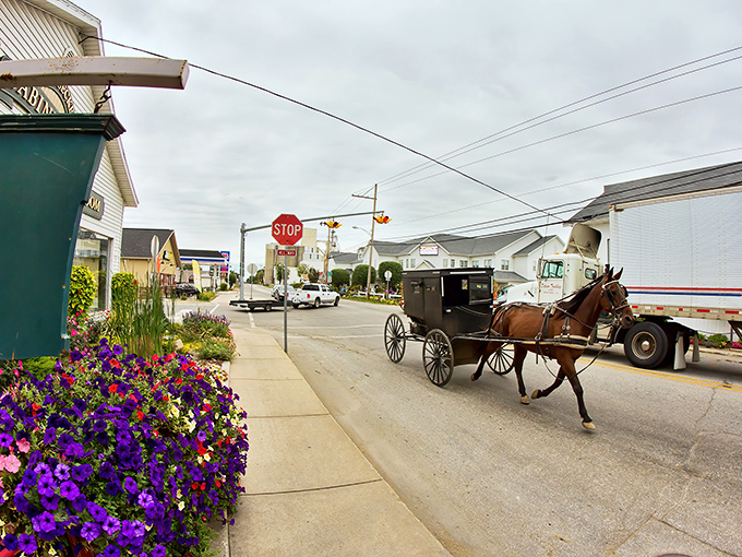 Shipshewana's streets accommodate both horsepower and horse power in this unique cultural crossroads.