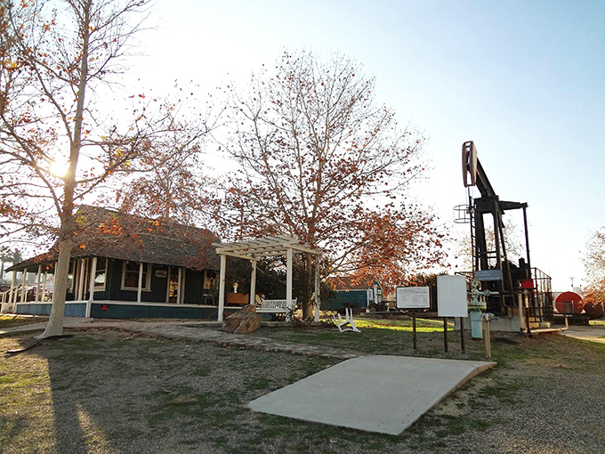 Taft: Oil derricks stand like monuments to an era when things cost what they should. History and affordability in perfect balance.