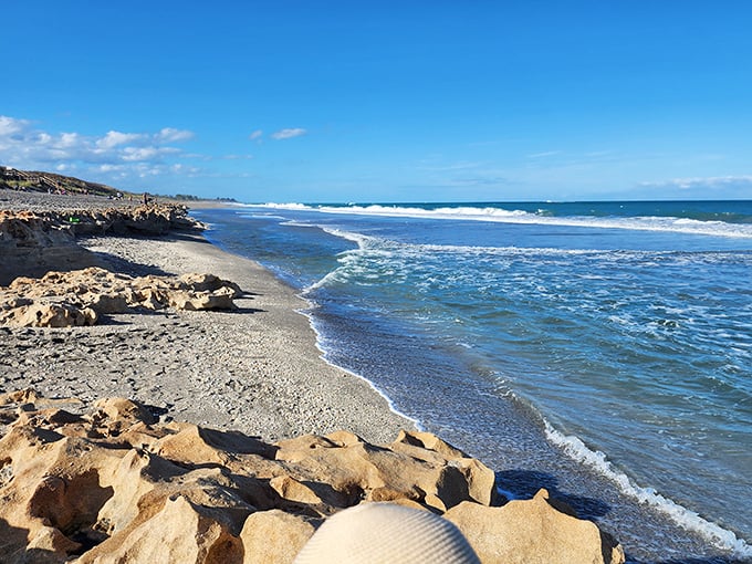The dramatic meeting of rock and wave at Blowing Rocks – like watching Earth's oldest argument play out.