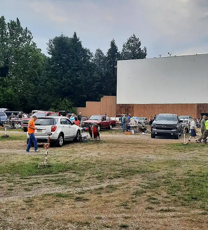 No fancy frills needed—just a screen, some stars, and the shared experience of stories told in the open air.