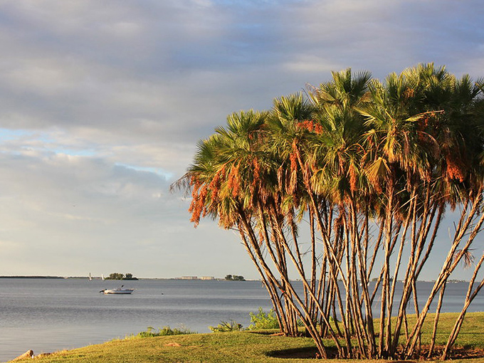 If serenity had a vacation home, it’d look like this: soft skies, still waters, and palm trees posing like they know they’re on a postcard.