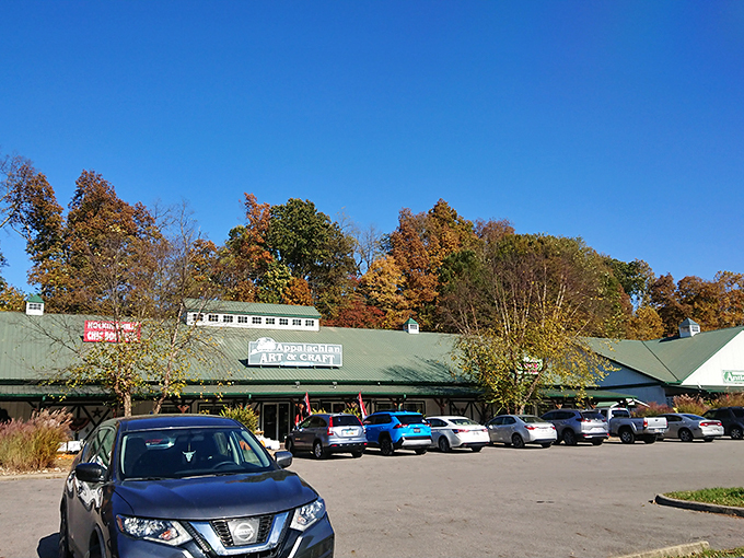 Fall colors frame the hunt! Hocking Hills Market offers seasonal shopping against nature's own backdrop.