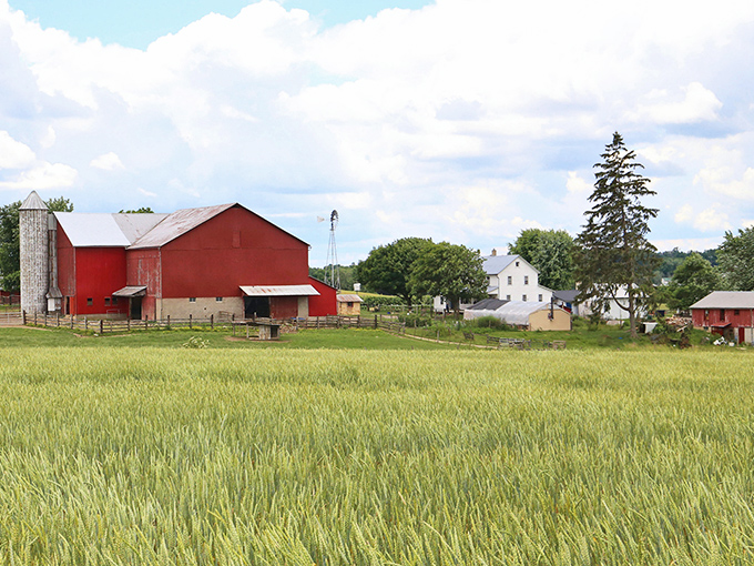 Breathe in the fresh air and admire the scenic farms of Kidron—an ideal Amish town for a stress-free day trip.