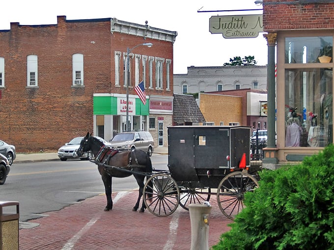 A classic Amish buggy waits patiently outside a LaGrange shop—the original park-and-ride system that never goes out of style.