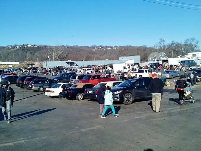 Cars become mobile shops at this riverside gem - democracy in action, retail style!