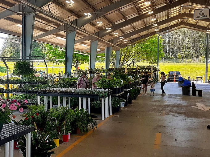 Nature frames the shopping experience at Piedmont Triad, where plants and produce create a lush shopping paradise.
