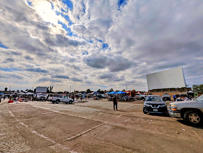 "Did we bring enough popcorn?" Family movie night goes supersized at South Bay's expansive outdoor theater.