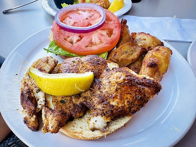 Blackened grouper that actually tastes like the ocean, not just seasoning – Florida's sandwich superiority in one perfect bite.