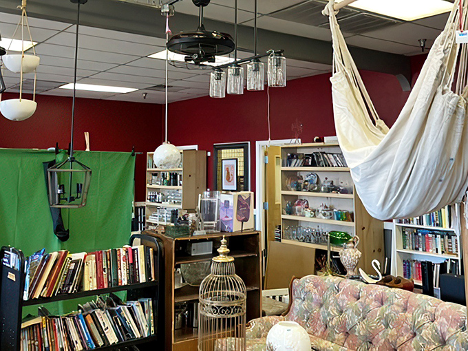 The book section—where literary treasures and forgotten bestsellers coexist under the watchful gaze of a hanging hammock chair.