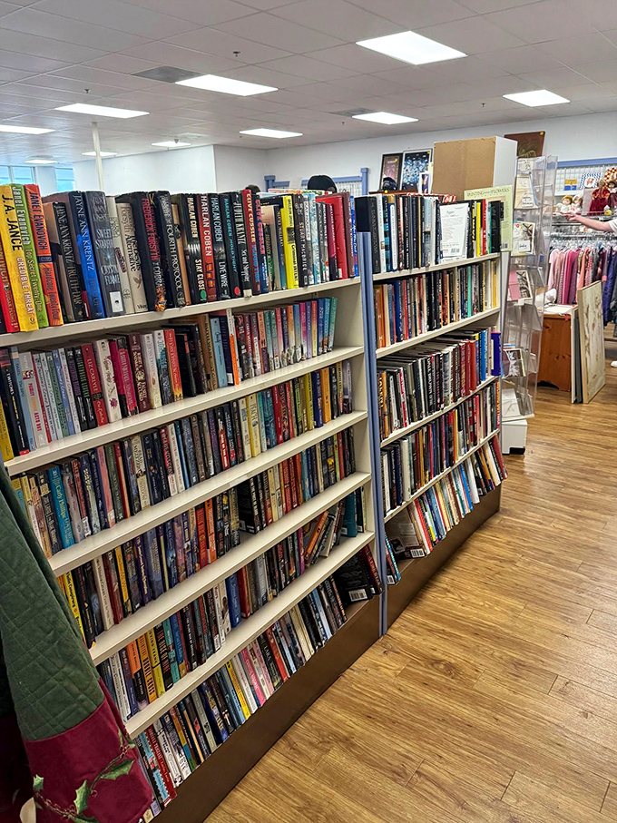 Literary adventures await on every shelf - someone's library becomes your next great reading escape.
