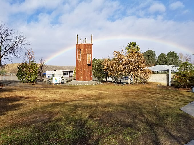 A rainbow arches over CALM's rustic tower, nature's way of endorsing this hidden gem where wildlife and wonder await curious visitors.