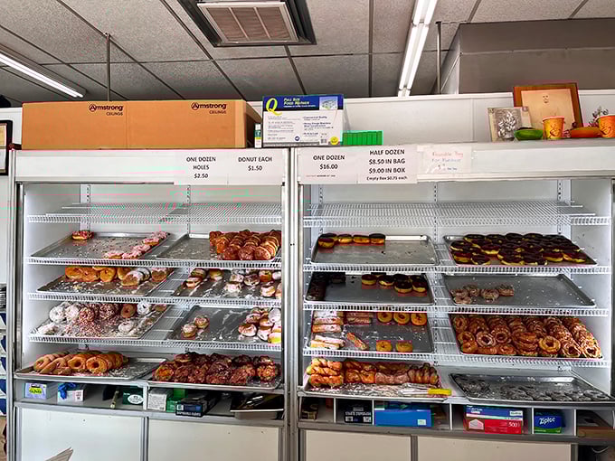 Morning in Maryland looks like this: shelves of golden possibilities awaiting homes. Some call it a display case; regulars call it heaven's waiting room.