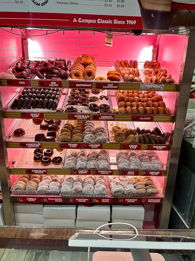 The illuminated donut case glows like a beacon of hope in a world of kale smoothies and diet trends.