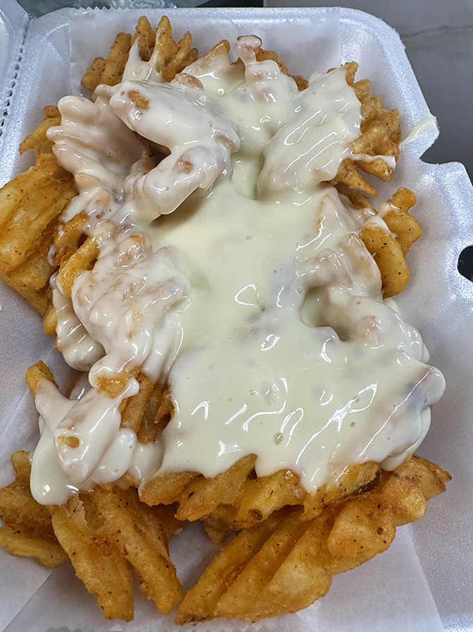 Cheese fries that don't apologize for what they are – a beautiful avalanche of dairy cascading over perfectly crisp potatoes.