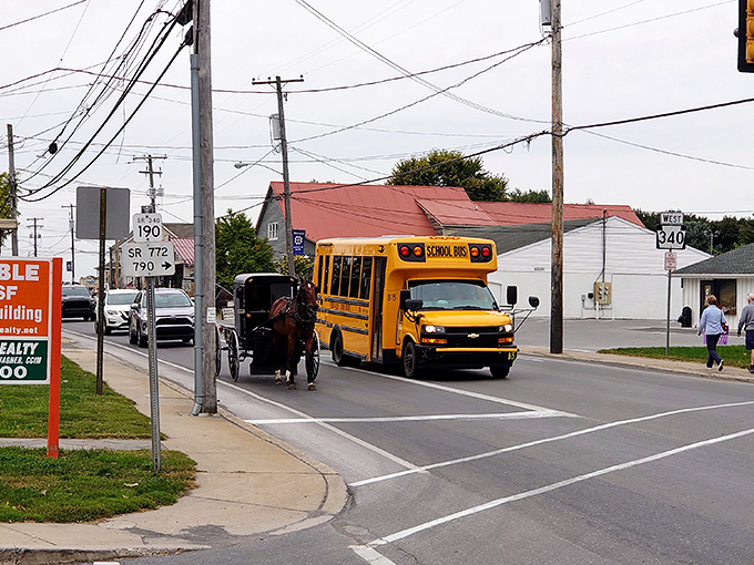 The juxtaposition says it all – a yellow school bus passes a horse and buggy, two educational systems existing side by side.
