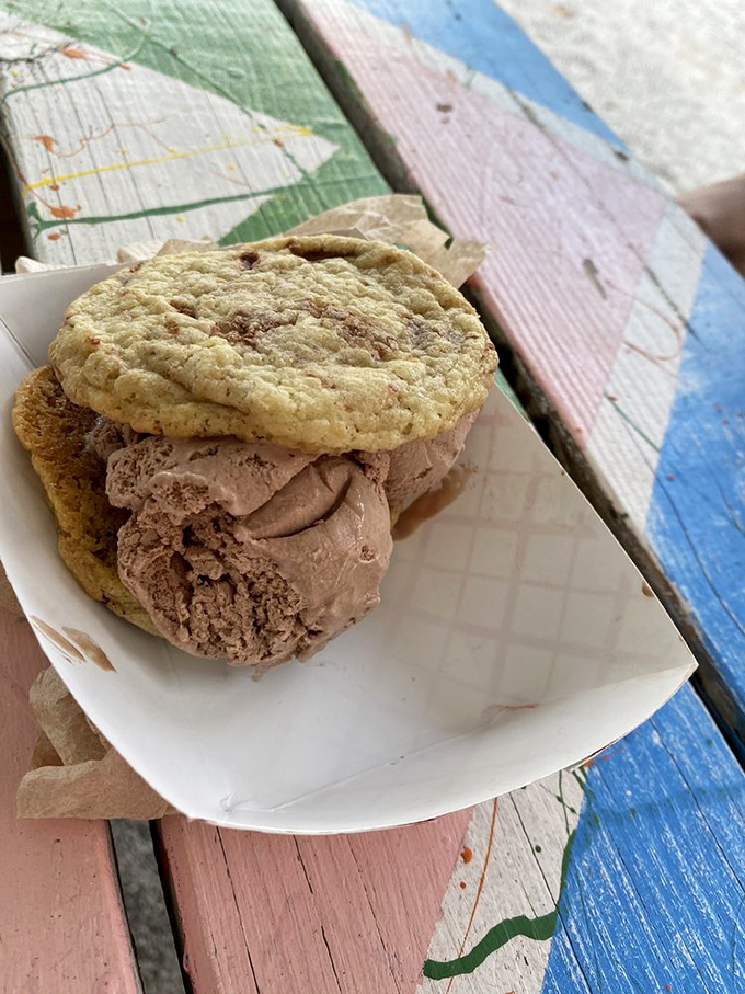 The ice cream sandwich elevated to masterpiece status. That homemade cookie isn't just holding ice cream—it's completing a relationship meant to be.