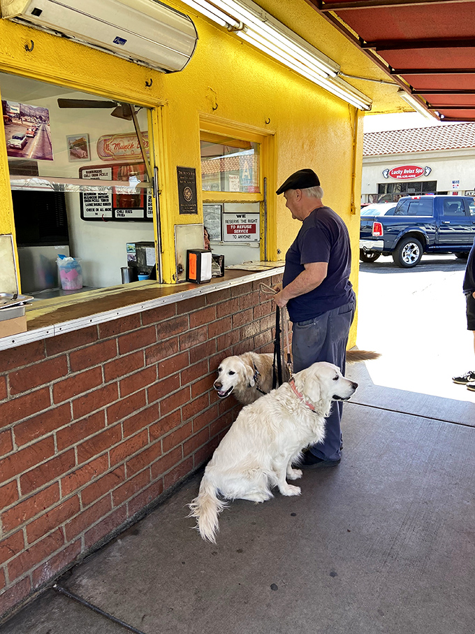 Even four-legged friends know where the good stuff is—patiently waiting while their human places an order at the hallowed counter.