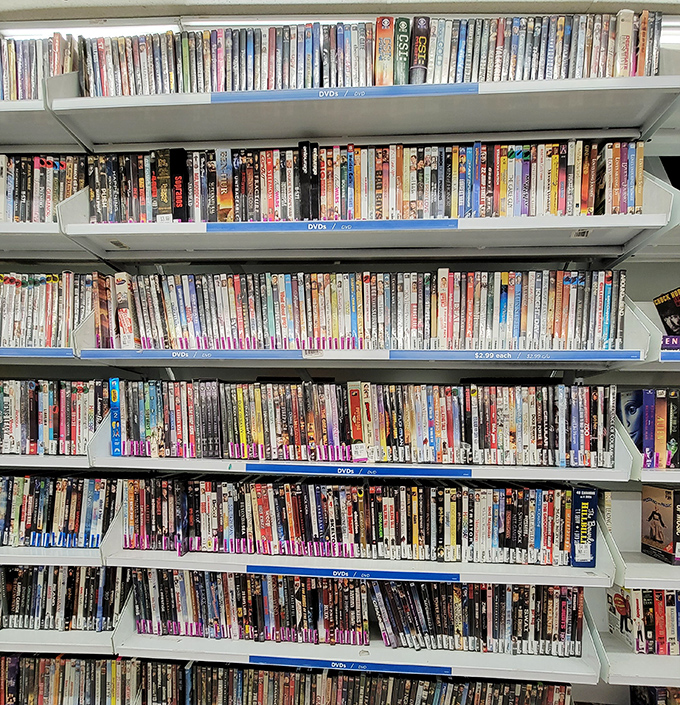 The DVD wall – where forgotten blockbusters and cult classics await for less than the price of a streaming subscription.